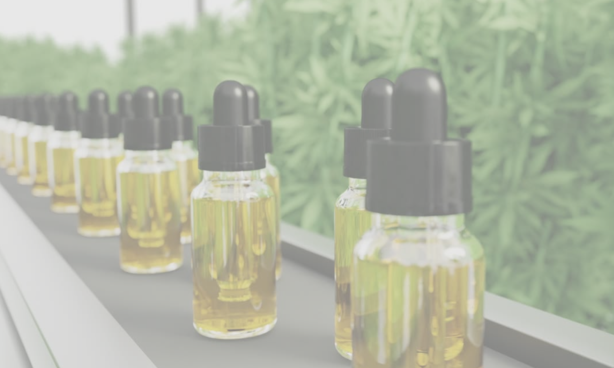 Cooper Gilmore Cannabis Consulting – The Nexus of Strategy, Process ...